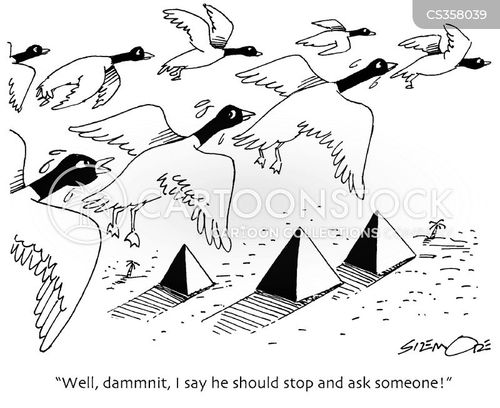 Migratory Birds Cartoons and Comics - funny pictures from CartoonStock