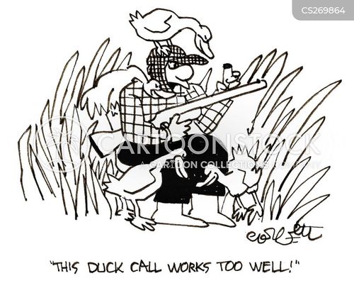 Hunting Ducks Cartoons and Comics - funny pictures from CartoonStock
