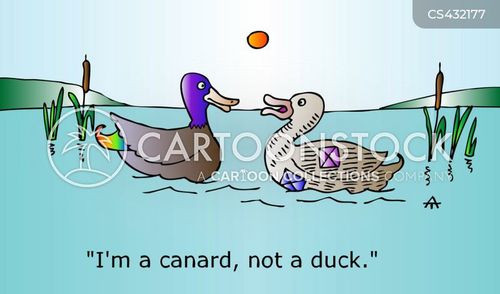 Canard Cartoons and Comics - funny pictures from CartoonStock