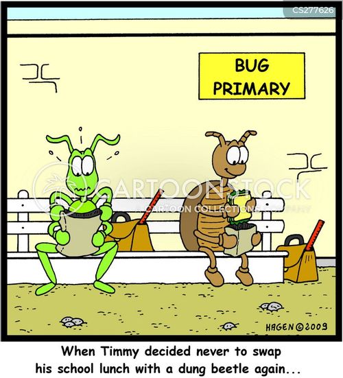 Curtis Cartoon Dung Beetle