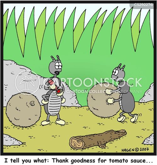 Regional Cooking Cartoons and Comics - funny pictures from CartoonStock
