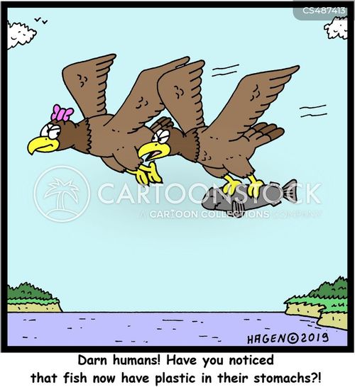 Waterways Cartoons and Comics - funny pictures from CartoonStock
