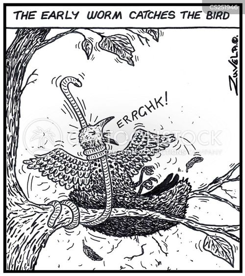 The Early Bird Cartoons and Comics - funny pictures from CartoonStock
