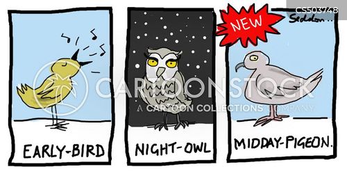 Night Owl Cartoons and Comics - funny pictures from CartoonStock