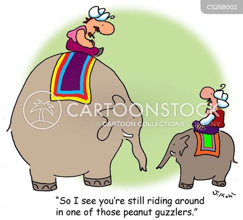 Cartoon Elephant Rider