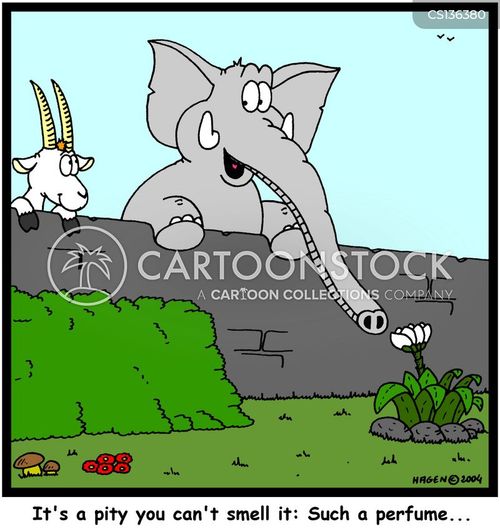 Smelling Cartoons and Comics - funny pictures from CartoonStock