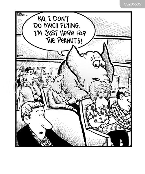 Inner Flight Cartoons and Comics - funny pictures from CartoonStock