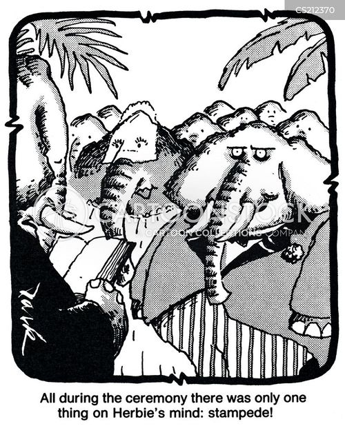 Elephant Stampede Cartoons and Comics - funny pictures from CartoonStock