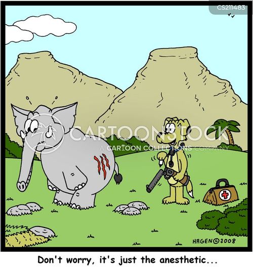 Vets Surgery Cartoons and Comics - funny pictures from CartoonStock
