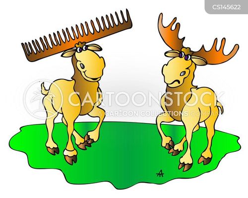 Elk Cartoons and Comics - funny pictures from CartoonStock