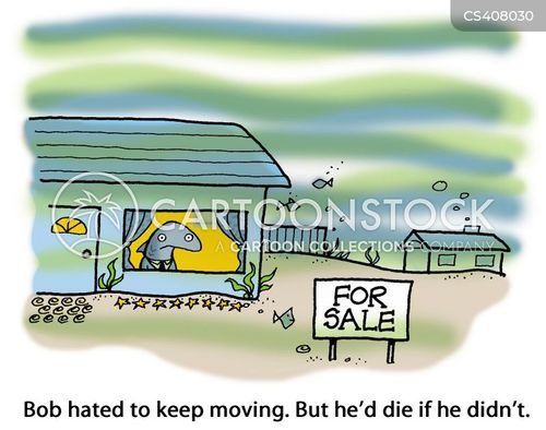 Funny Signs Keep Moving