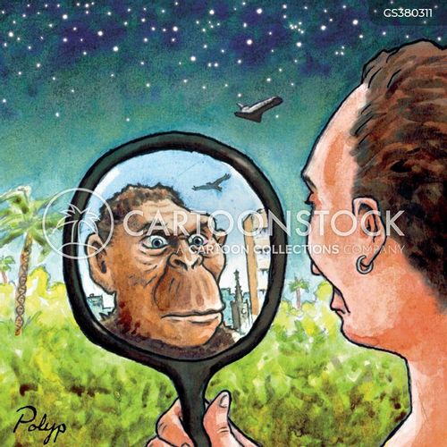 Apes Monkeys Cartoons and Comics - funny pictures from CartoonStock