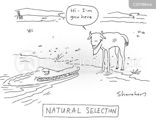 Natural Selection Cartoons and Comics - funny pictures from CartoonStock