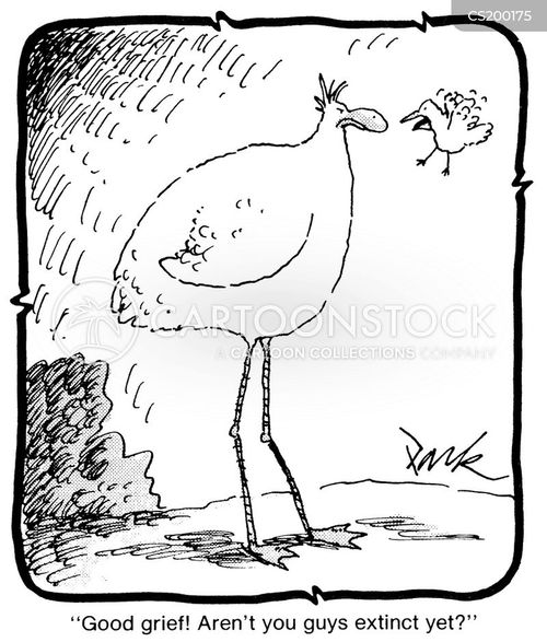 Rare Breed Cartoons and Comics - funny pictures from CartoonStock