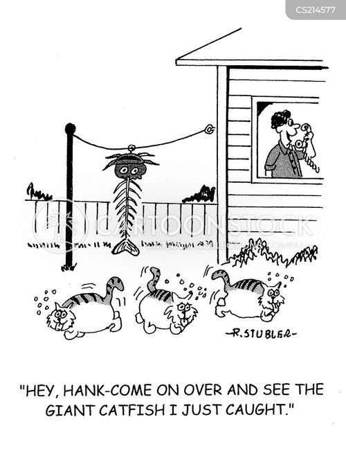 Catfish Cartoons and Comics - funny pictures from CartoonStock