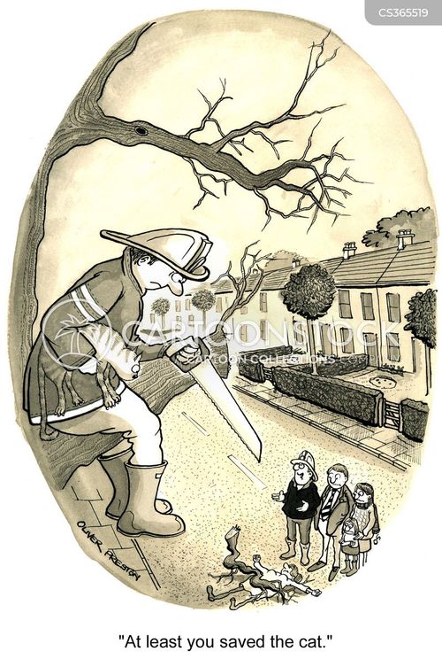 Brigade Cartoons and Comics - funny pictures from CartoonStock