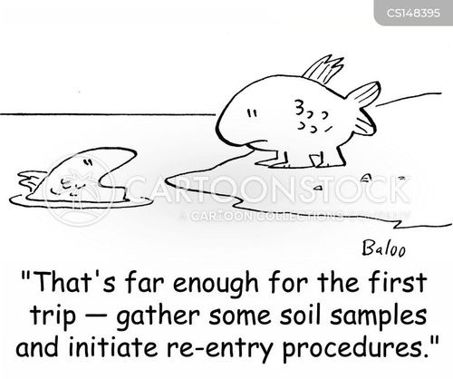 Re-entry Cartoons and Comics - funny pictures from CartoonStock