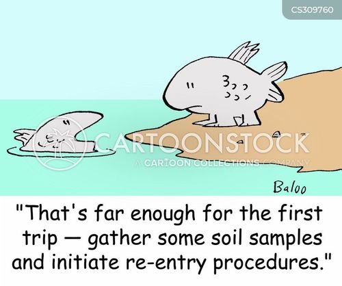 Re-entry Cartoons and Comics - funny pictures from CartoonStock