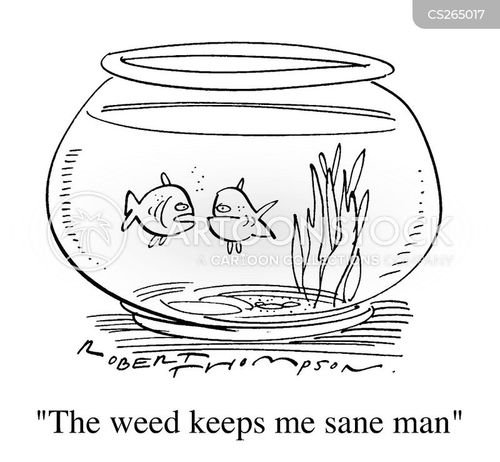 Sanity Cartoon Clip Art