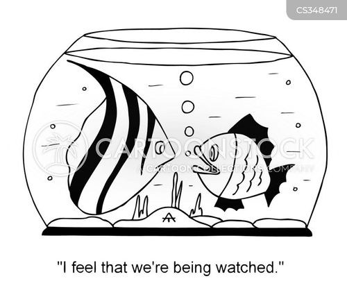 Secure Communications Cartoons and Comics - funny pictures from ...