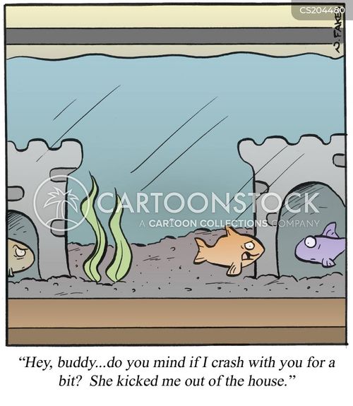 Fish Housing Cartoons and Comics - funny pictures from CartoonStock