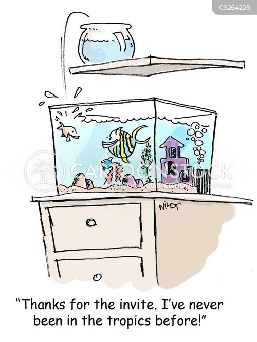 Fish Bow Cartoons and Comics - funny pictures from CartoonStock