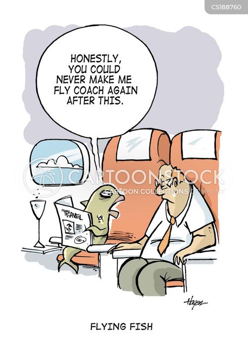 First Class Cartoons and Comics - funny pictures from CartoonStock