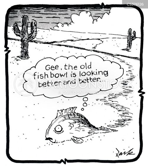 Fish Bowl Cartoons and Comics - funny pictures from CartoonStock