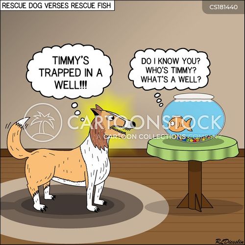 Rescue Dog Cartoons and Comics - funny pictures from CartoonStock