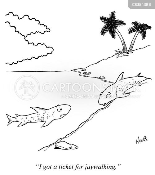Jaywalking Cartoons and Comics - funny pictures from CartoonStock