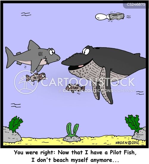 Pilot Fishes Cartoons and Comics - funny pictures from CartoonStock