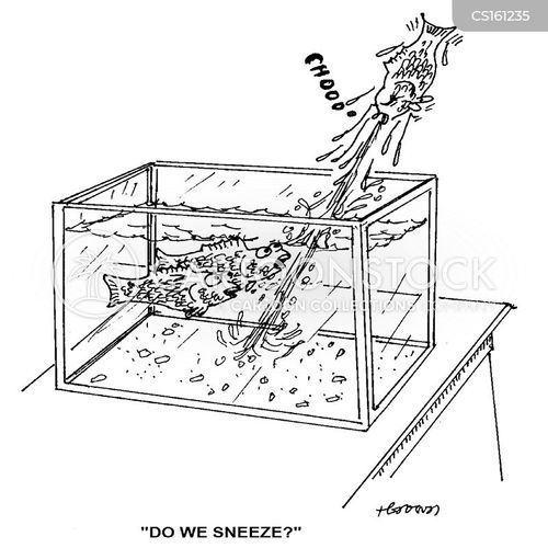 New Windows Cartoons and Comics - funny pictures from CartoonStock