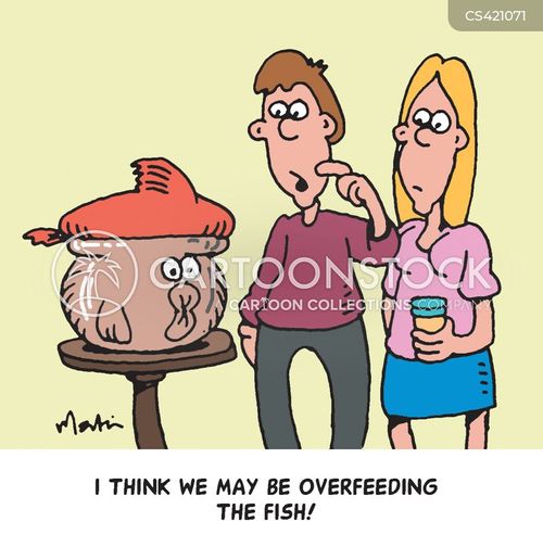 Overfeeding Cartoons and Comics - funny pictures from CartoonStock