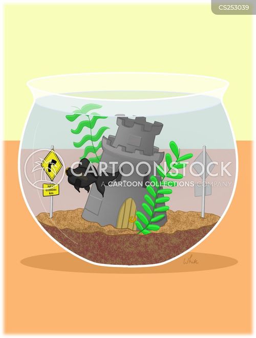 Beta Fish Bowl Cartoon