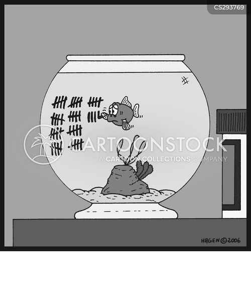 Tally Chart Cartoons and Comics - funny pictures from CartoonStock