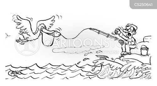 Seagull Cartoons and Comics - funny pictures from CartoonStock