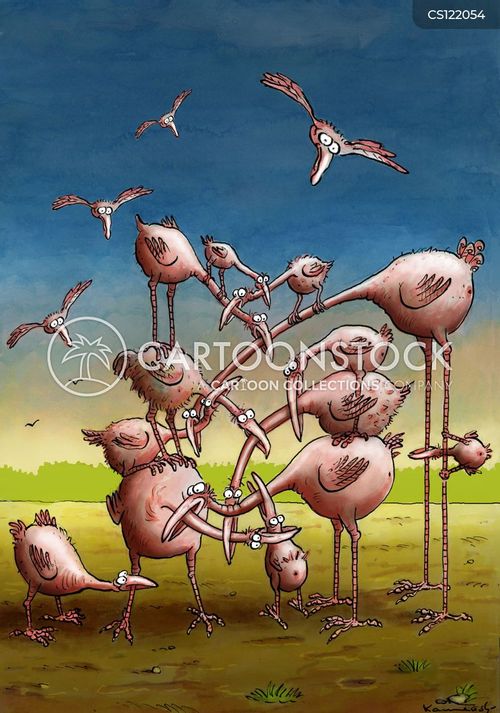 Flamingo Cartoons and Comics - funny pictures from CartoonStock