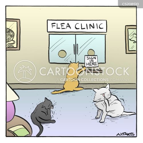Flea Bite Cartoons and Comics - funny pictures from CartoonStock