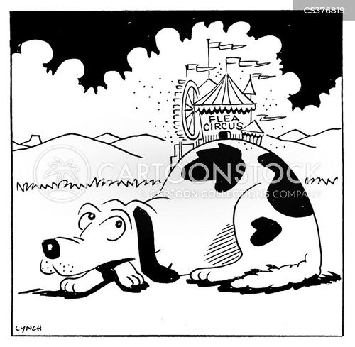 Flea Circuses Cartoons and Comics - funny pictures from CartoonStock