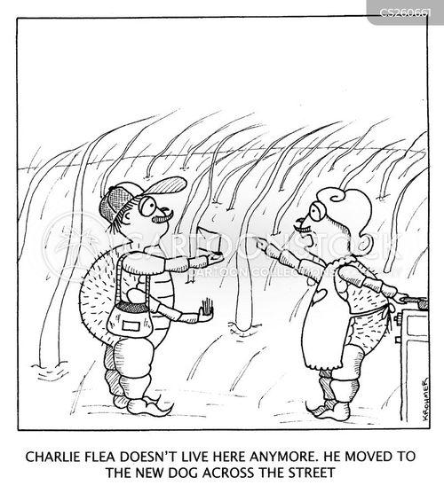 Dog Infestations Cartoons and Comics - funny pictures from CartoonStock