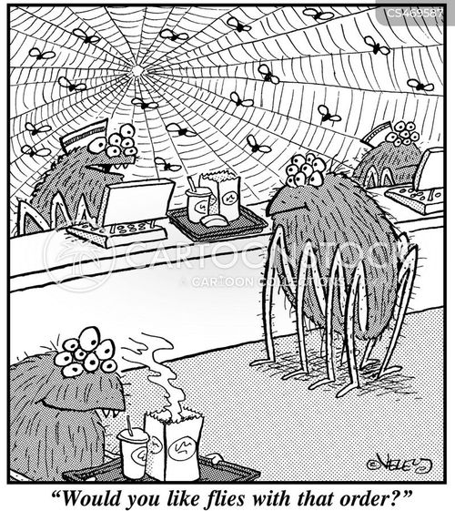Spider's Web Cartoons and Comics - funny pictures from CartoonStock