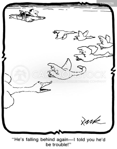 Fly's Cartoons and Comics - funny pictures from CartoonStock