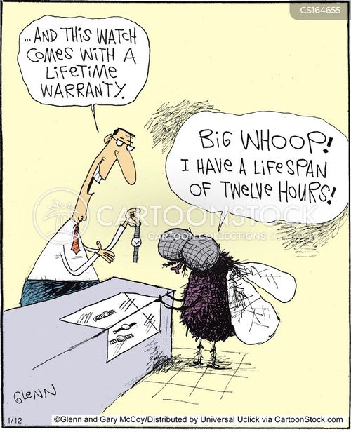 Lifespan Cartoons and Comics - funny pictures from CartoonStock