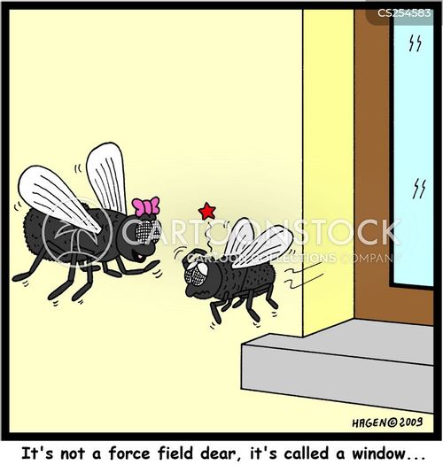 Fly Screen Cartoons and Comics - funny pictures from CartoonStock