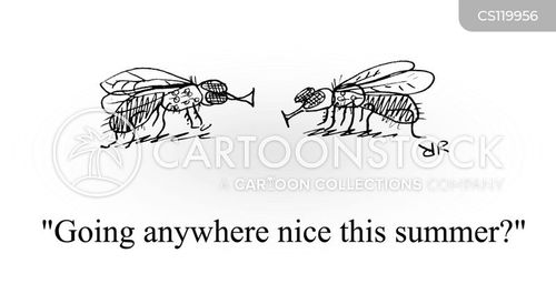 Summer Bugs Cartoons and Comics - funny pictures from CartoonStock