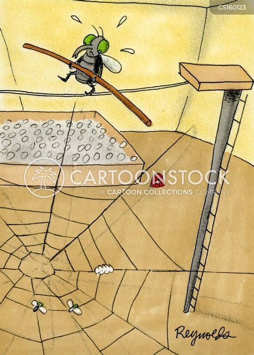 Highwire Cartoons and Comics - funny pictures from CartoonStock