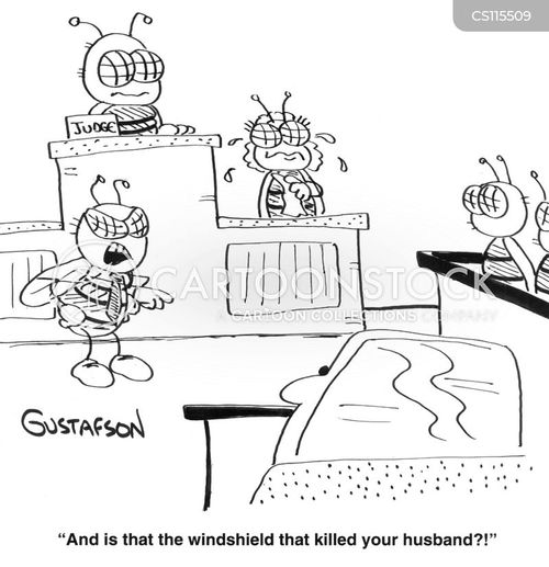 Fly Windshield Cartoons and Comics - funny pictures from CartoonStock