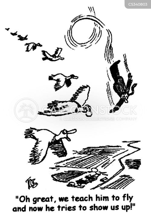 Formation Flight Cartoons and Comics - funny pictures from CartoonStock