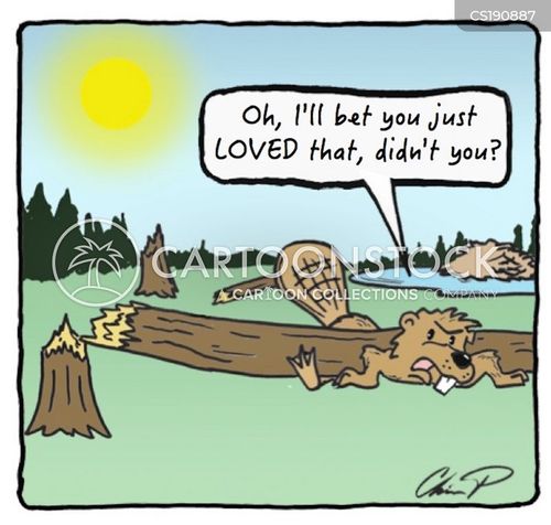 Beaver Cartoons and Comics - funny pictures from CartoonStock