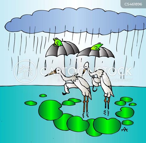 Precipitation Cycle Cartoons and Comics - funny pictures from CartoonStock